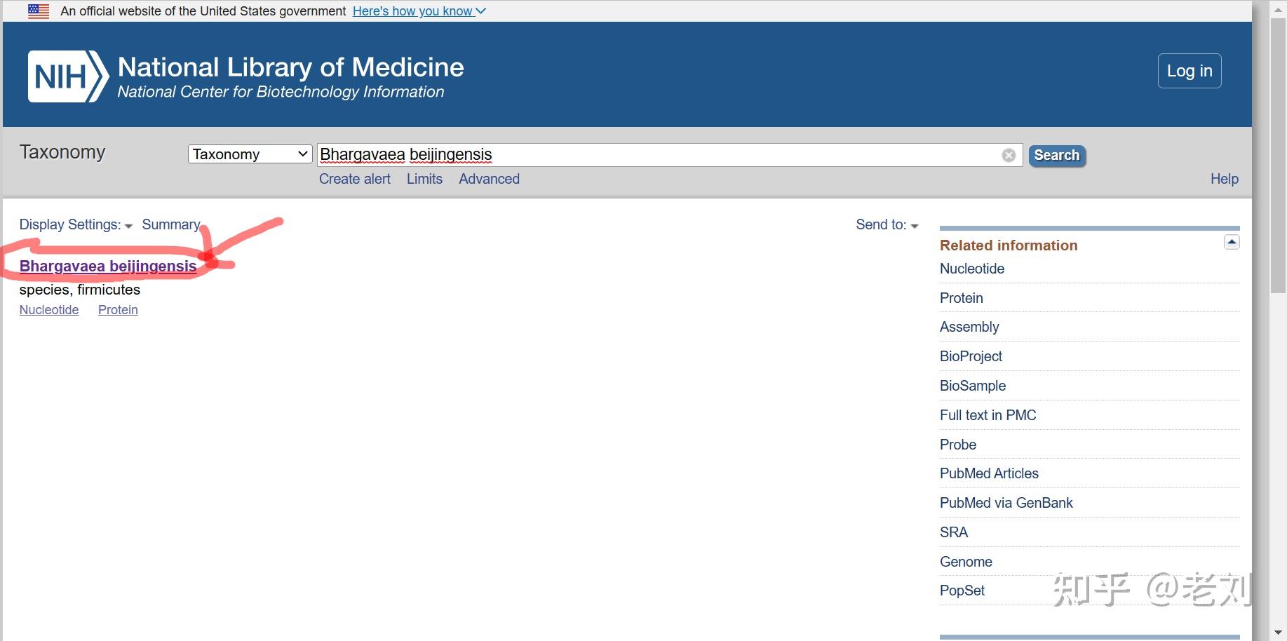 怎么在NCBI上查找微生物的纲目科属种 - 知乎