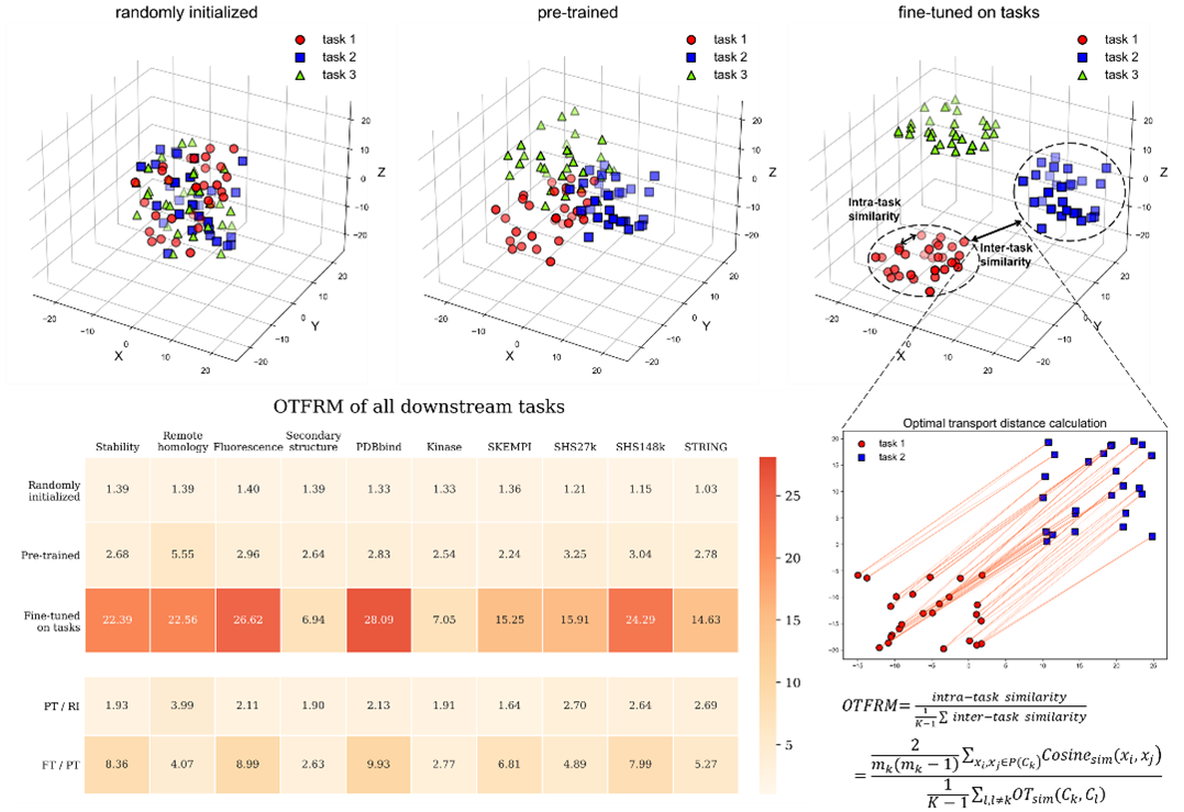 Advanced Science | 多模态蛋白表征方法及其迁移性量化 - 知乎