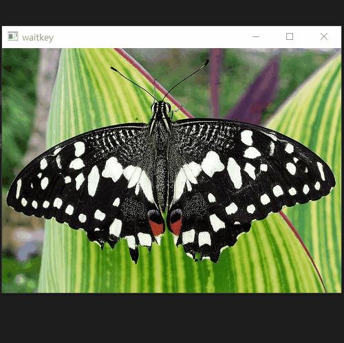 Opencv Python学习（7）—— Opencv 轨迹栏操作和键盘响应操作cvcreatetrackbar、cv