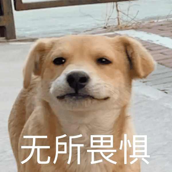 搞笑的动图gif表情包 - 知乎