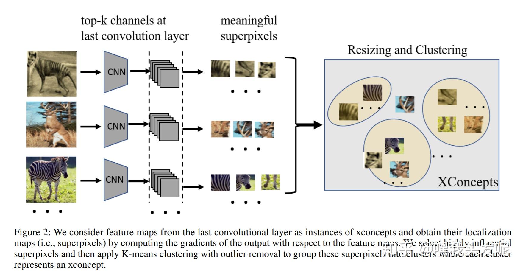 CoCoX AAAI2020 CNN模型可解释性 论文解读 - 知乎