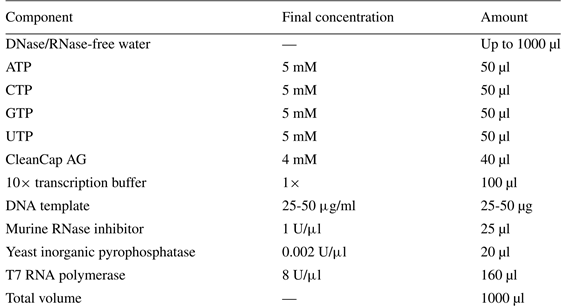 【星耀小课堂】mRNA篇|mRNA体外合成(IVT)反应 - 知乎