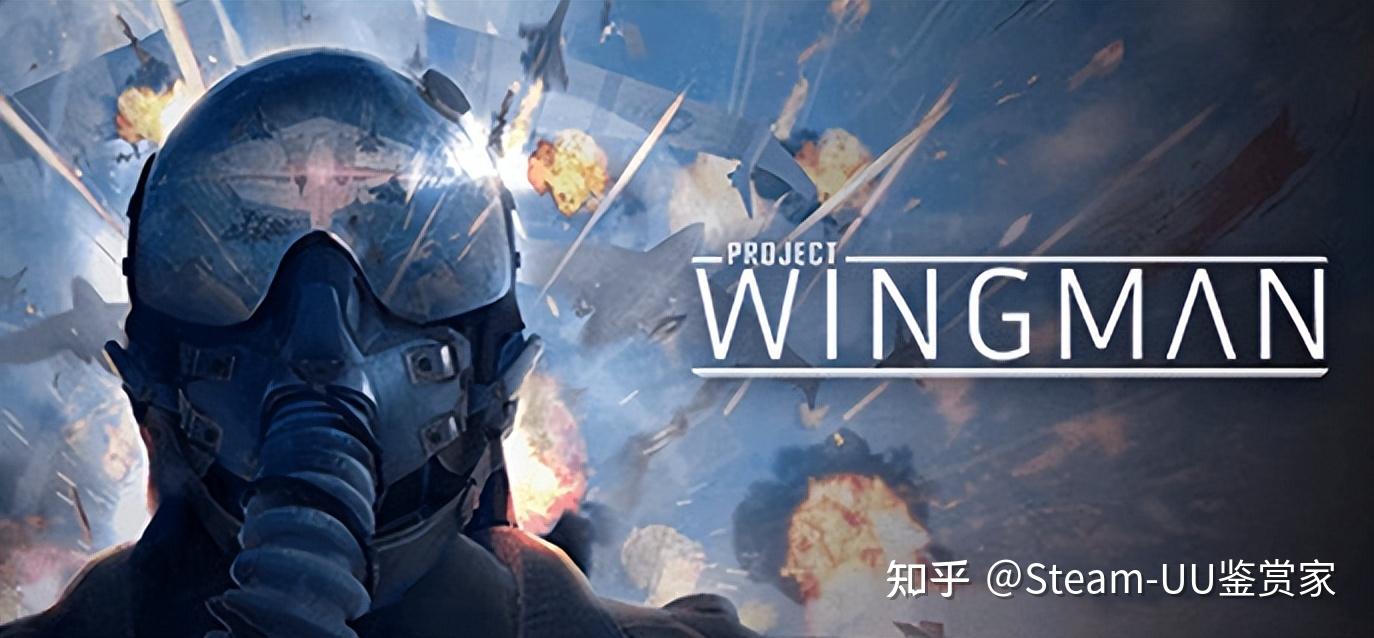 Steam游戏评测 No.460《Project Wingman》 - 知乎
