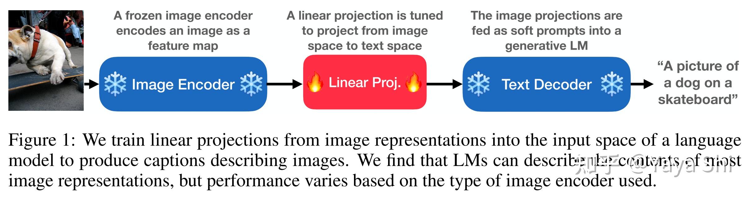 Linearly Mapping from Image to Text Space - 知乎
