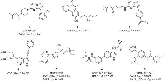 AAK1小分子抑制剂BMS-986176的发现 - 知乎