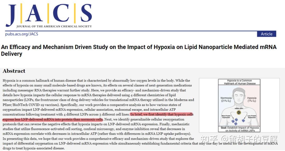 共递送ATP提升mRNA-LNP细胞内蛋白表达水平数十倍 - 知乎