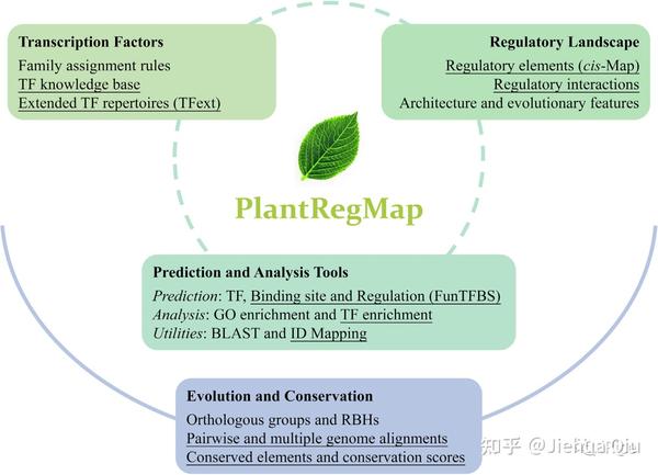 如何查找上游调控的转录因子 - 知乎