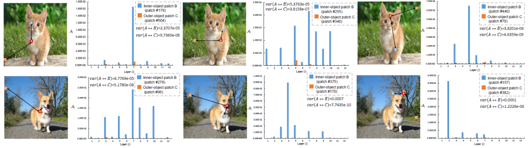 Transformer模型中patch交互的关系，你可以这样理解！ - 知乎