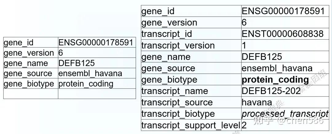 基因组中的趣事（一）：这个基因编码98种转录本 - 知乎