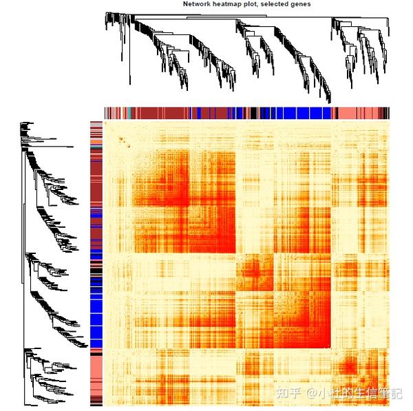 WGCNA分析 | 你的数据结果真的是准确的吗？？ - 知乎