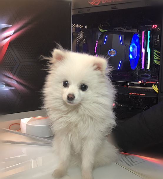 ROG M10H.8700K超频简单教程和其他 - 知乎