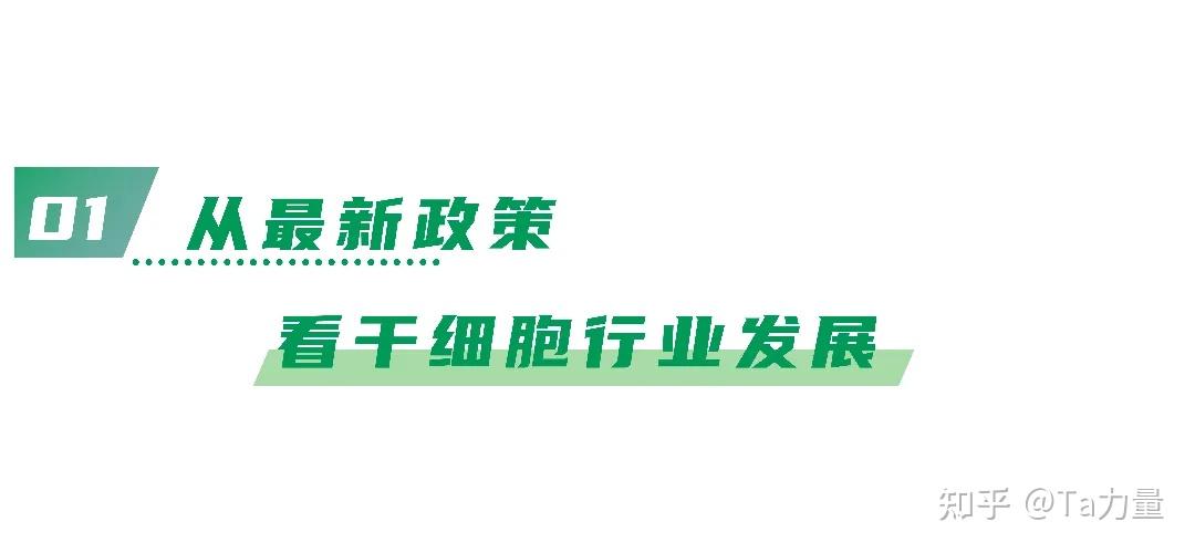 干细胞行业迎风口！国务院再出政策！深入解读2025干细胞发展趋势 知乎