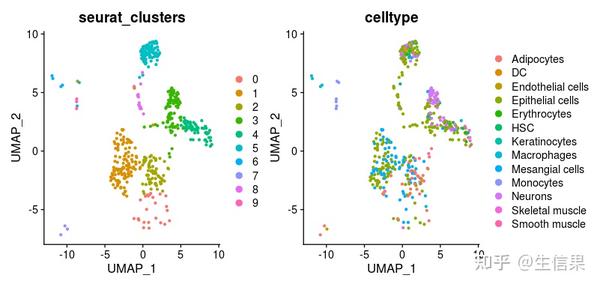超级侦探SingleR，揭露单细胞数据细胞类型的奥秘 - 知乎