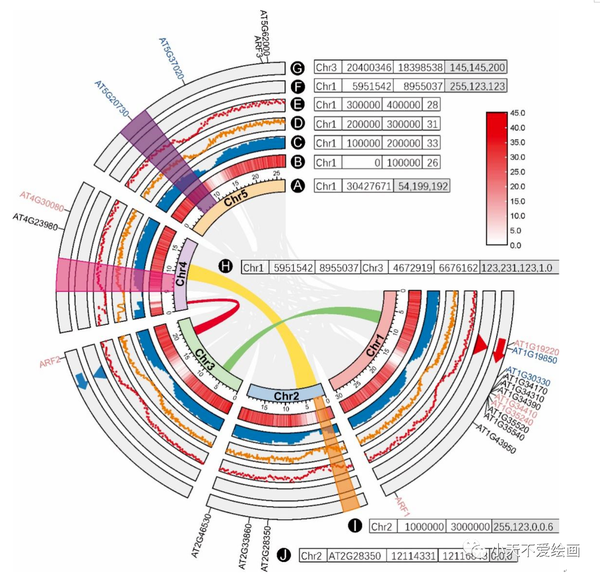 使用TBtools绘制Circos图 - 知乎