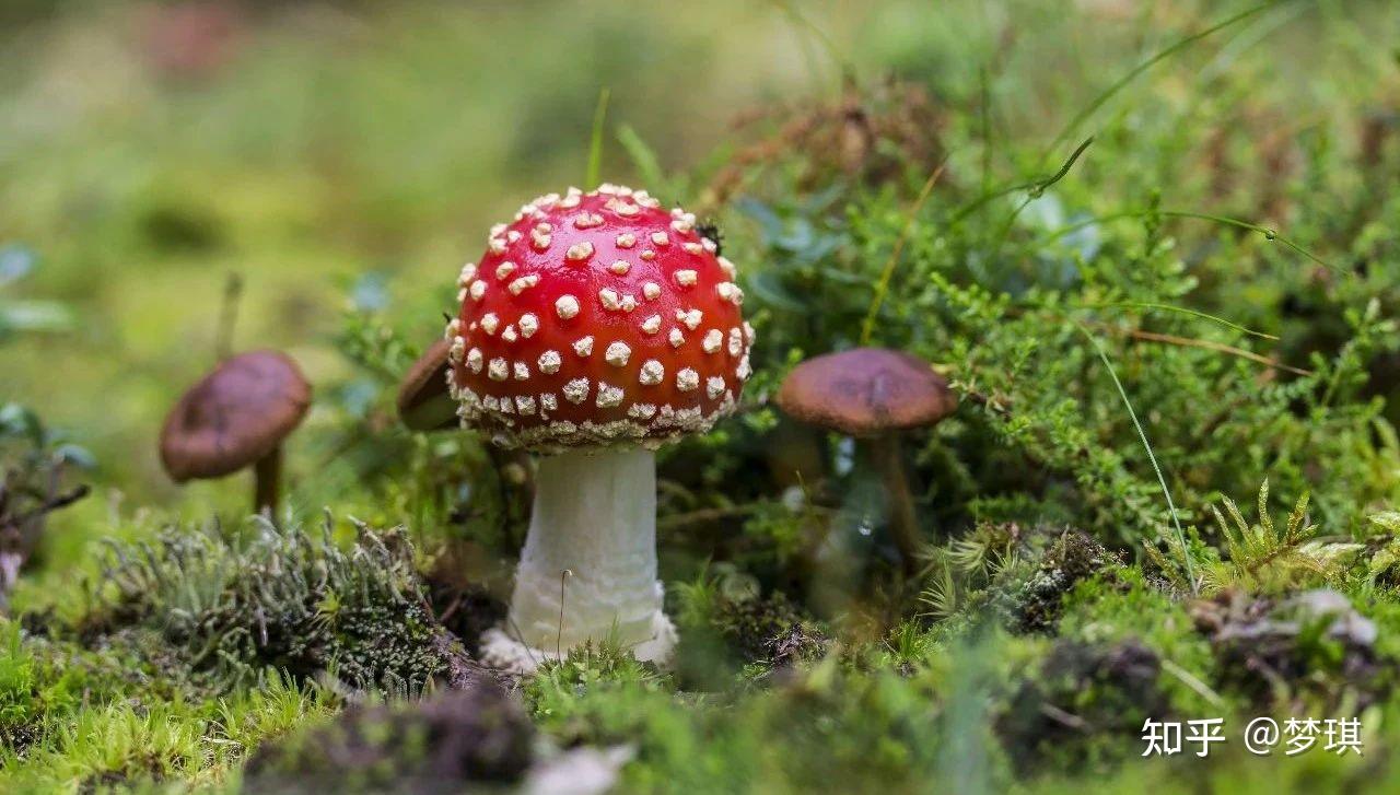 男性内裤上有的分泌物，是正常的还是性病，怎么区分？ - 知乎