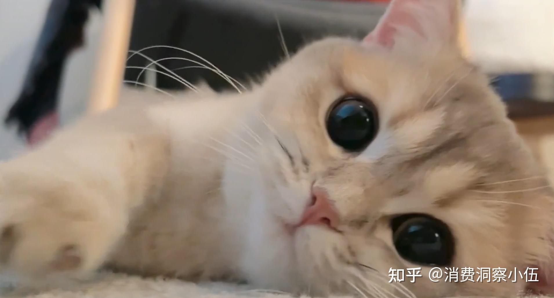 电脑壁纸4k超清可爱，10款精选壁纸推荐 - 知乎