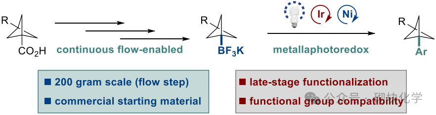专栏｜光催化C(sp2)–C(sp3)偶联发展历程 - 知乎