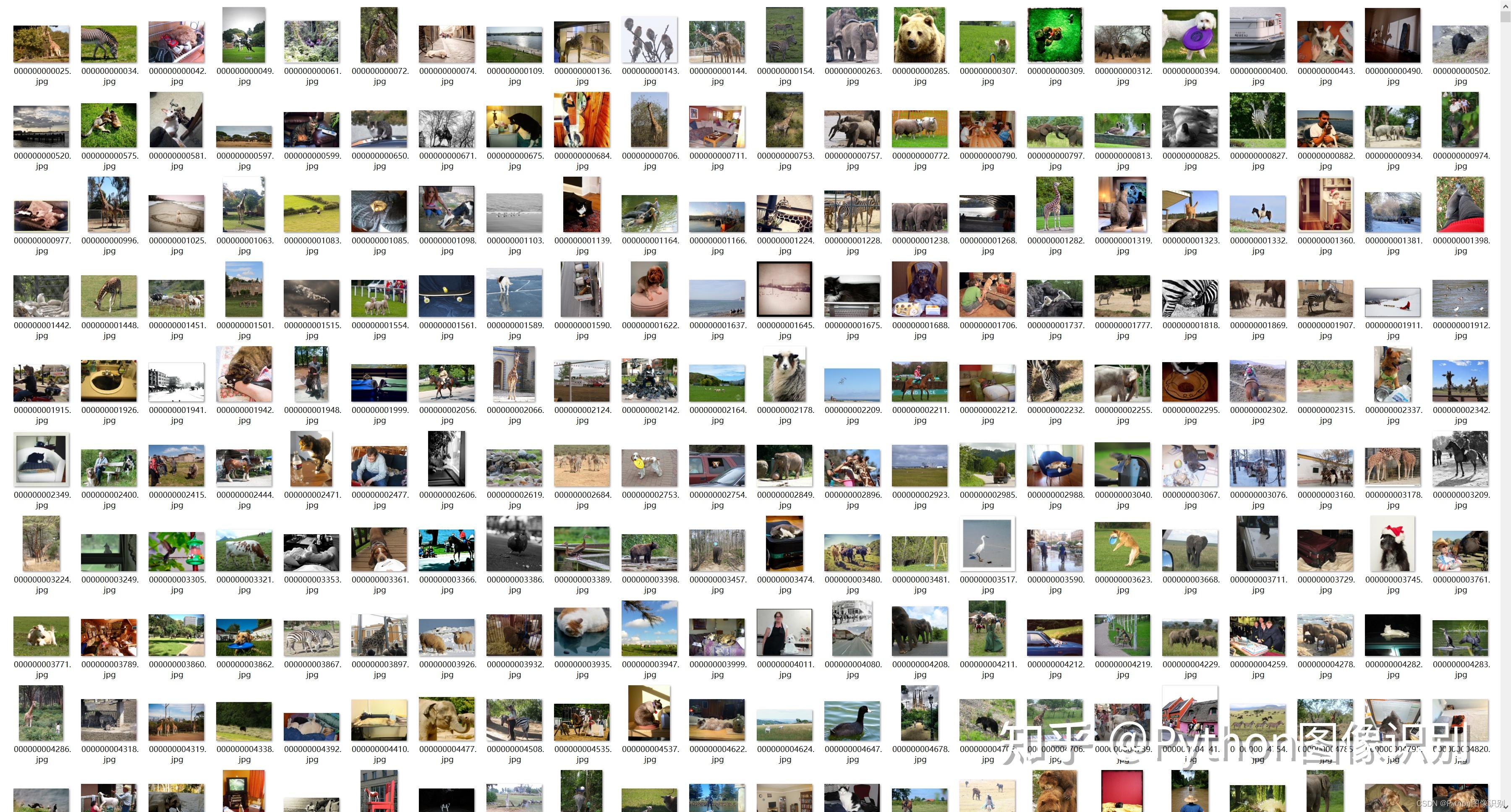 基于深度学习的动物检测识别系统（含UI界面、yolov5、Python代码、数据集）目标检测 - 知乎