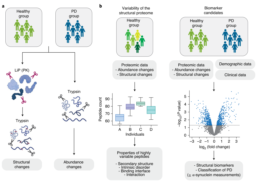 蛋白质组学新突破：LiP-MS技术解析及应用案例 - 知乎