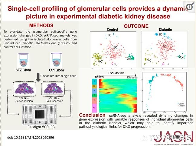 这样做出来的高质量图文摘要（Graphic abstract），才能成为SCI论文的加分项！ - 知乎