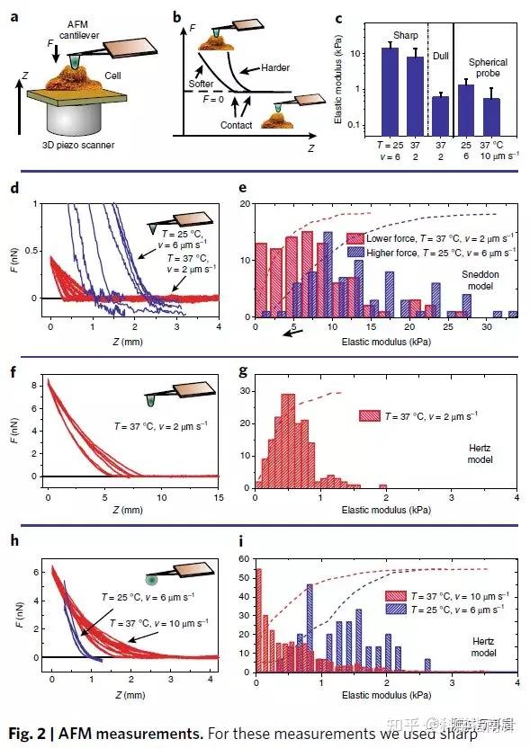 还不知道AFM的应用？三个案例告诉你！-科学指南针 - 知乎