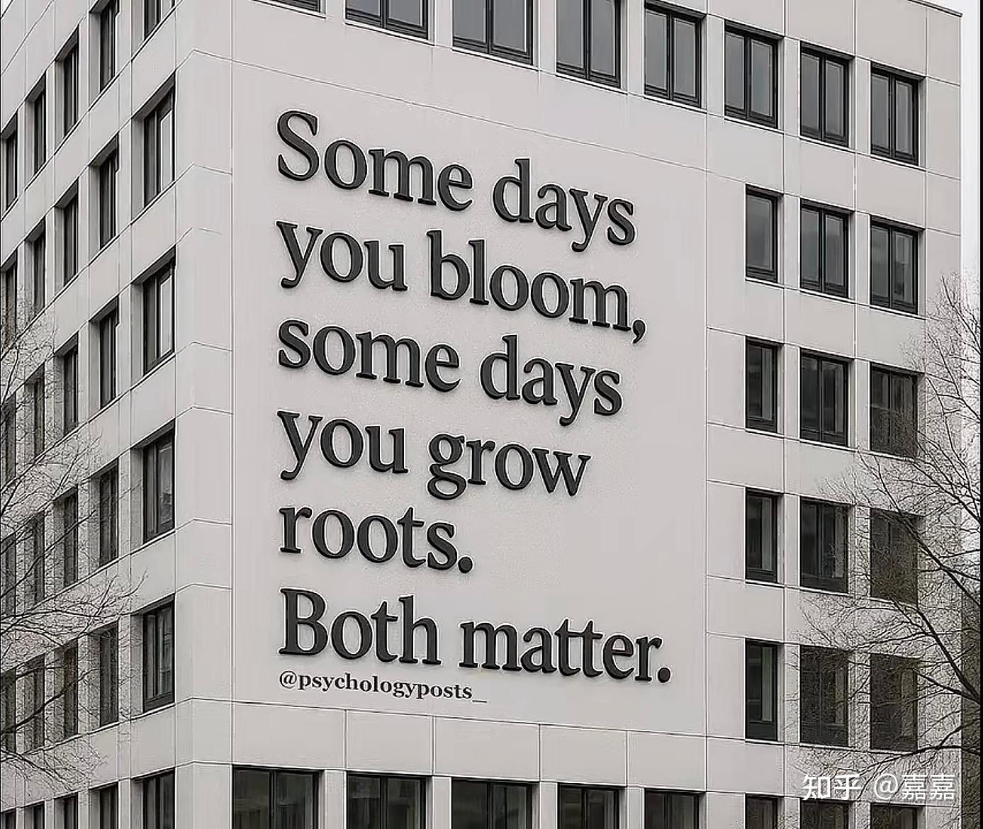 嘉嘉的日记 - 知乎