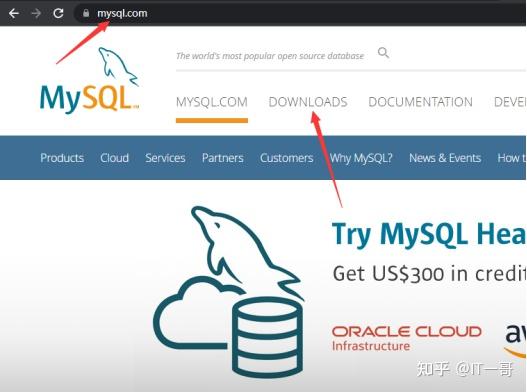 MySQL 8.0.31安装，配置，基本使用(详细版) - 知乎