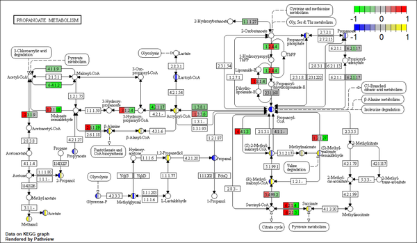 Pathview包：整合表达谱数据可视化KEGG通路 - 知乎