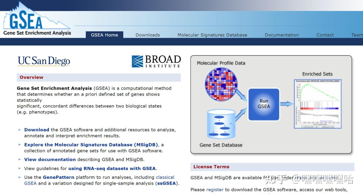 RNA-seq入门实战（七）：GSEA——基因集富集分析 - 知乎