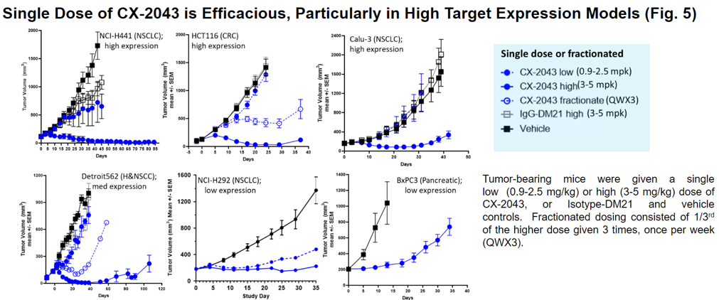 Probody®疗法简介及其在ADC中的成功应用（最大限度减少健康组织伤害） - 知乎