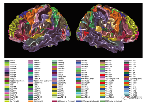 Science：Julich-Brain：一个新的细胞结构水平的概率脑图谱 - 知乎