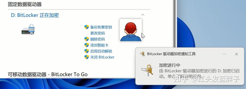 BitLocker到底有什么用？被蓝屏锁定了如何恢复？ - 知乎
