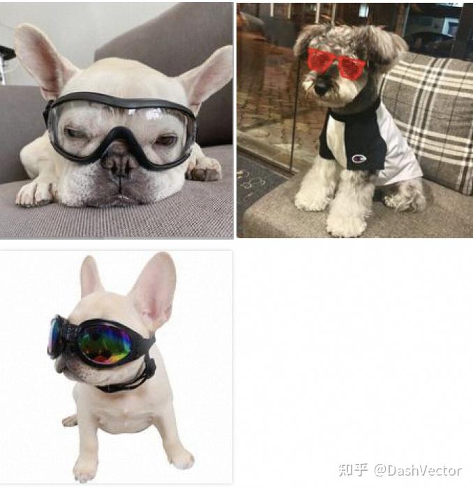 DashVector + ModelScope 玩转多模态检索 - 知乎