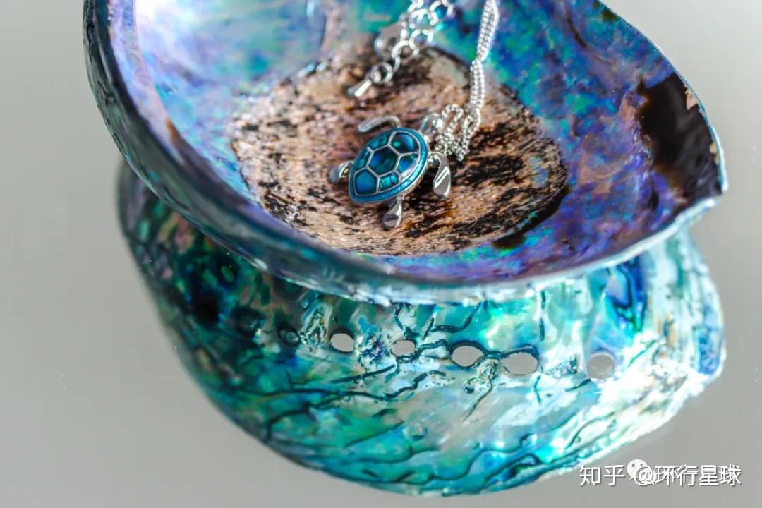 黑鲍鱼长啥样？好吃么？怎么吃？ - 知乎