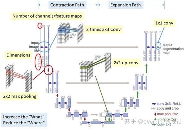一文快速回顾U-Net Family - 知乎