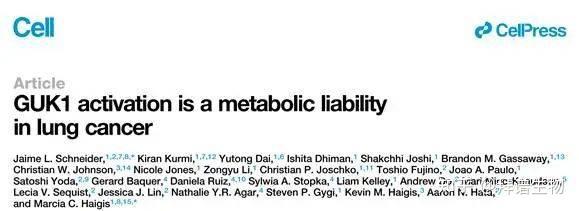 Cell重大发现！酪氨酸磷酸化GUK1——肺癌代谢战场上的“神秘武器” - 知乎