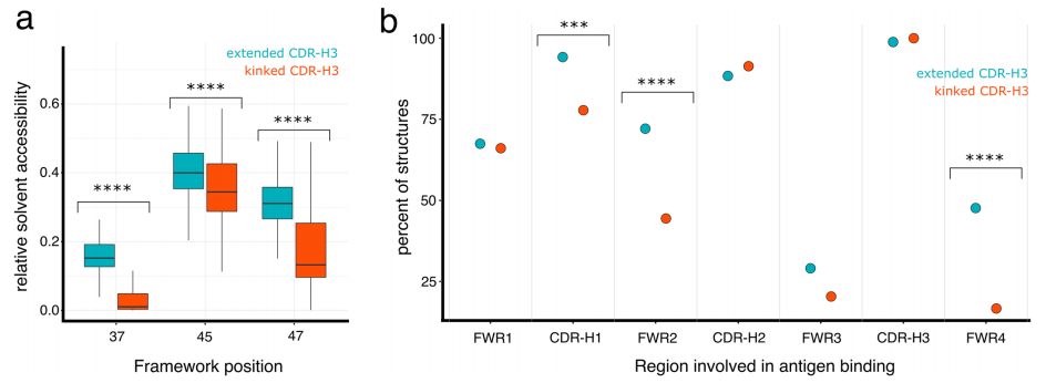探秘VHH结构域中独特CDR-H3构象的神秘成因 - 知乎