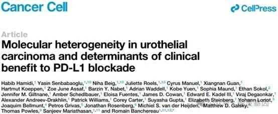 Cancer Cell | AI识别尿路上皮癌的分子亚型，谁是免疫治疗的真命天子？ - 知乎