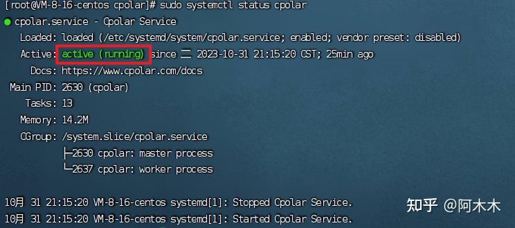 Linux使用cpolar实现内网穿透 - 知乎
