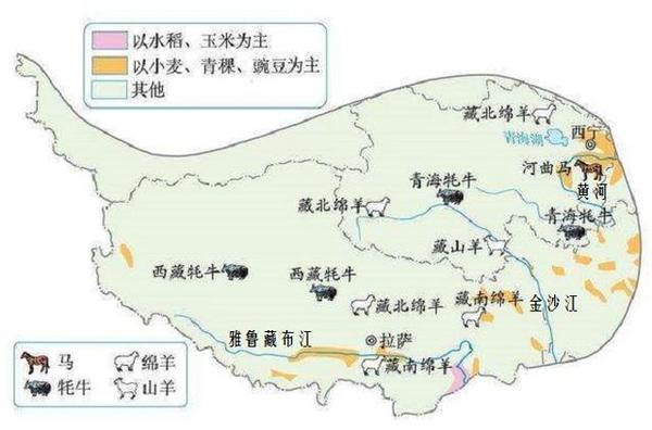 绿洲农业和河谷农业,我国西北地区和青藏地区的特色农业方式 知乎