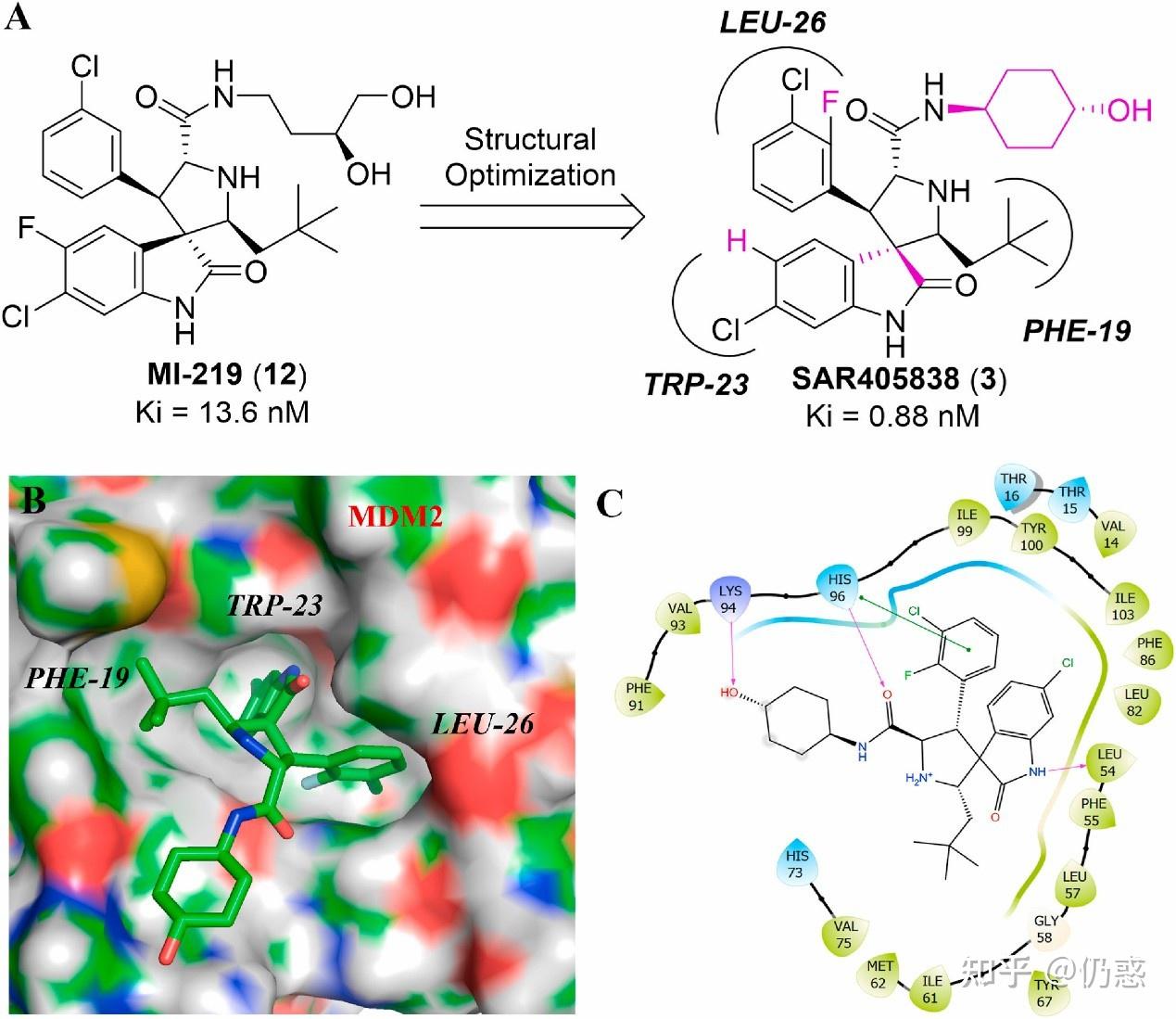 MDM2小分子抑制剂的临床研究进展 - 知乎
