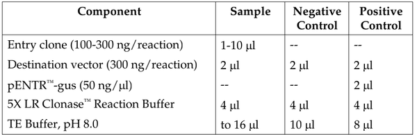 Gateway与分子克隆 - 知乎