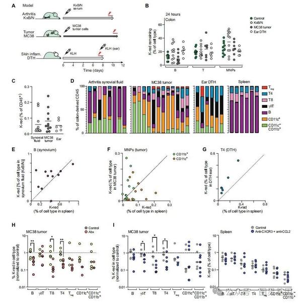 Sci Immu | 哈佛院士解析免疫细胞从肠道迁移的动态图谱 - 知乎