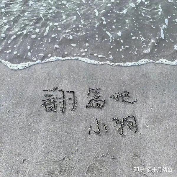 原来人会变得温柔,是透彻的懂了 知乎