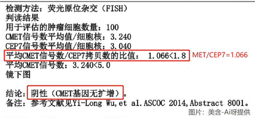 从零开始认识c-MET（上）——基础篇 - 知乎