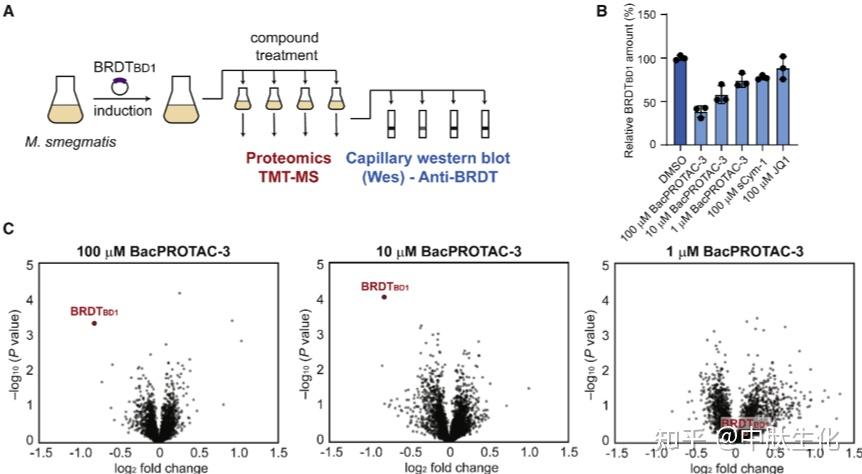 Cell：新型PROTAC，首次实现细菌内靶蛋白降解，可作为新型抗菌剂 - 知乎