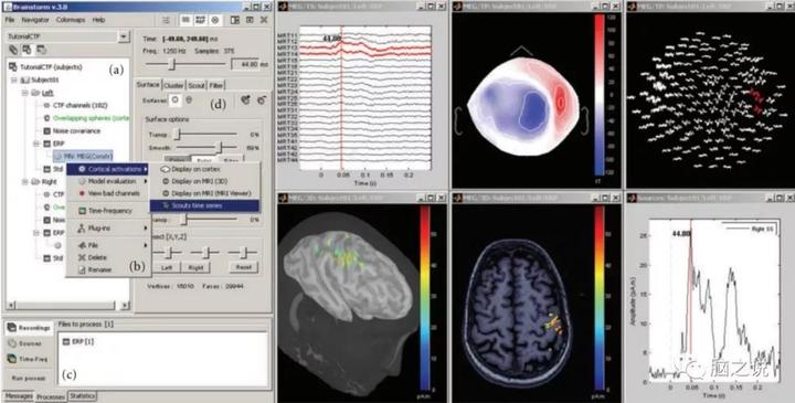 EEG/MEG数据处理工具包Brainstorm的下载与安装教程 - 知乎