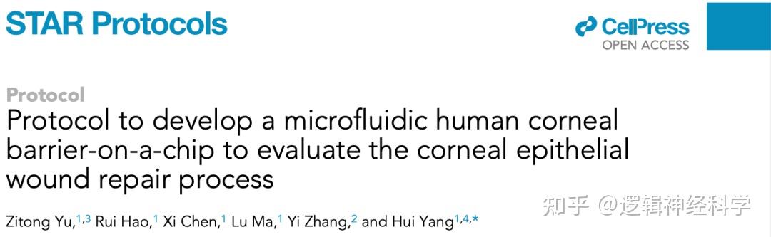 STAR Protocols｜深圳先进院杨慧团队在开发人眼角膜屏障芯片用于评估角膜损伤修复取得最新成果 - 知乎