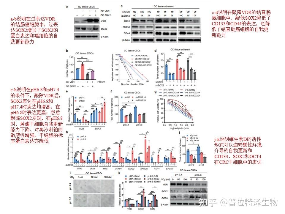 【国自然研究热点文献】之酸性肿瘤微环境的研究思路2 - 知乎