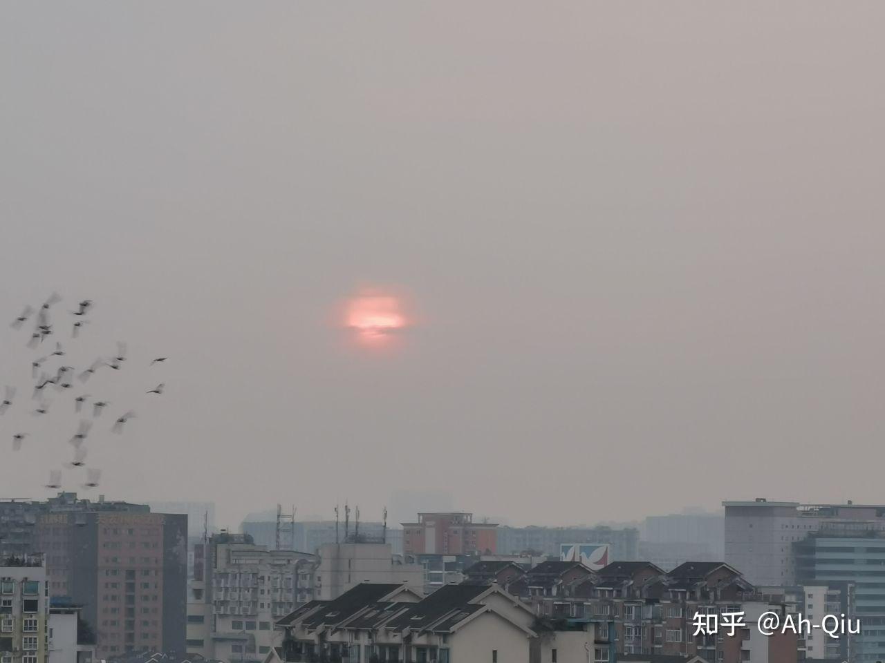 狐狸说：“对我来说，你只是一个小男孩，就像其他成千上万个小男孩一样没有什么两样。我不需要你。你也不需要我“ 知乎 